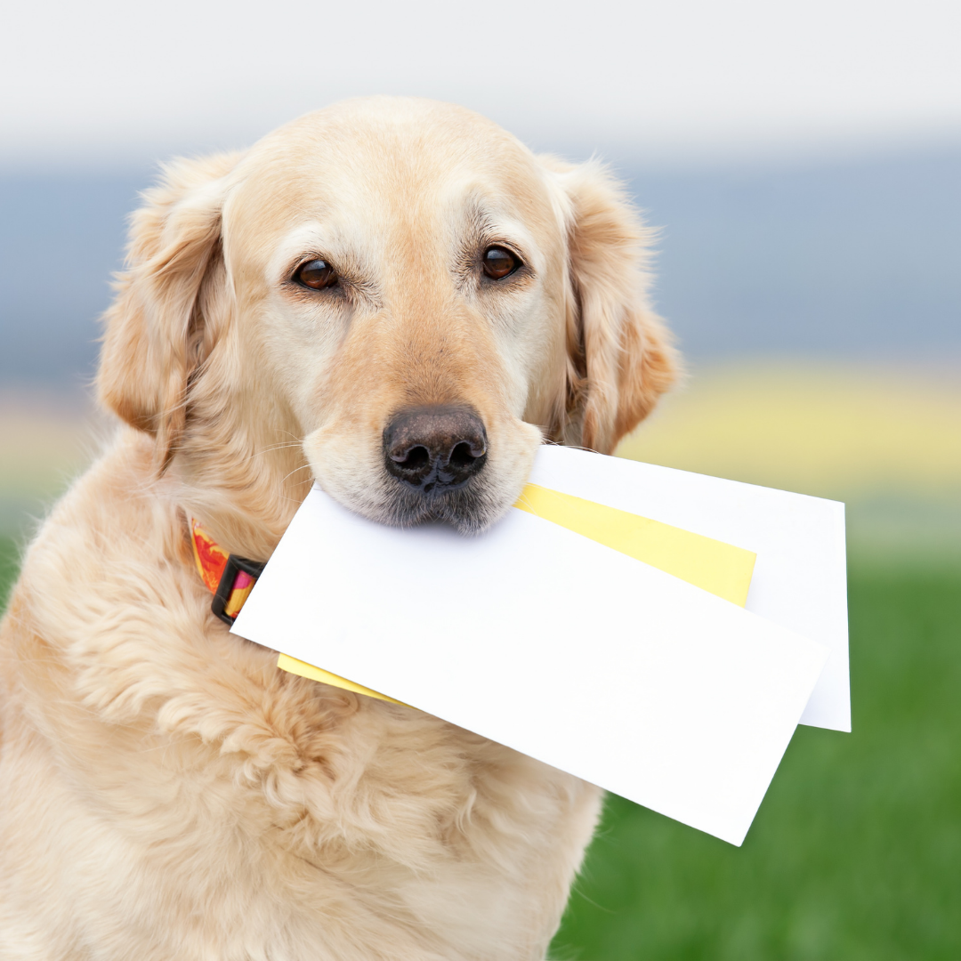 Ways to Help Prevent Mail & Identity Theft